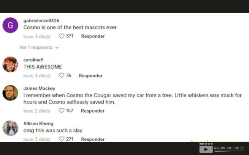 Watch Oklahoma Cheerleader Viral video Shakes the Internet ...