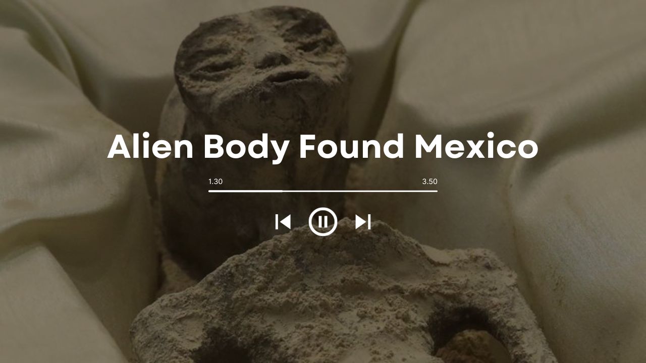 Alien Body Found Mexico: Delving into the Mystery - Nowviralvideo.com