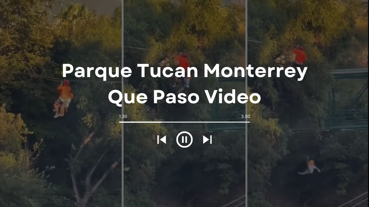 Parque Tucán Monterrey Que Paso Video: El video viral que causó ...